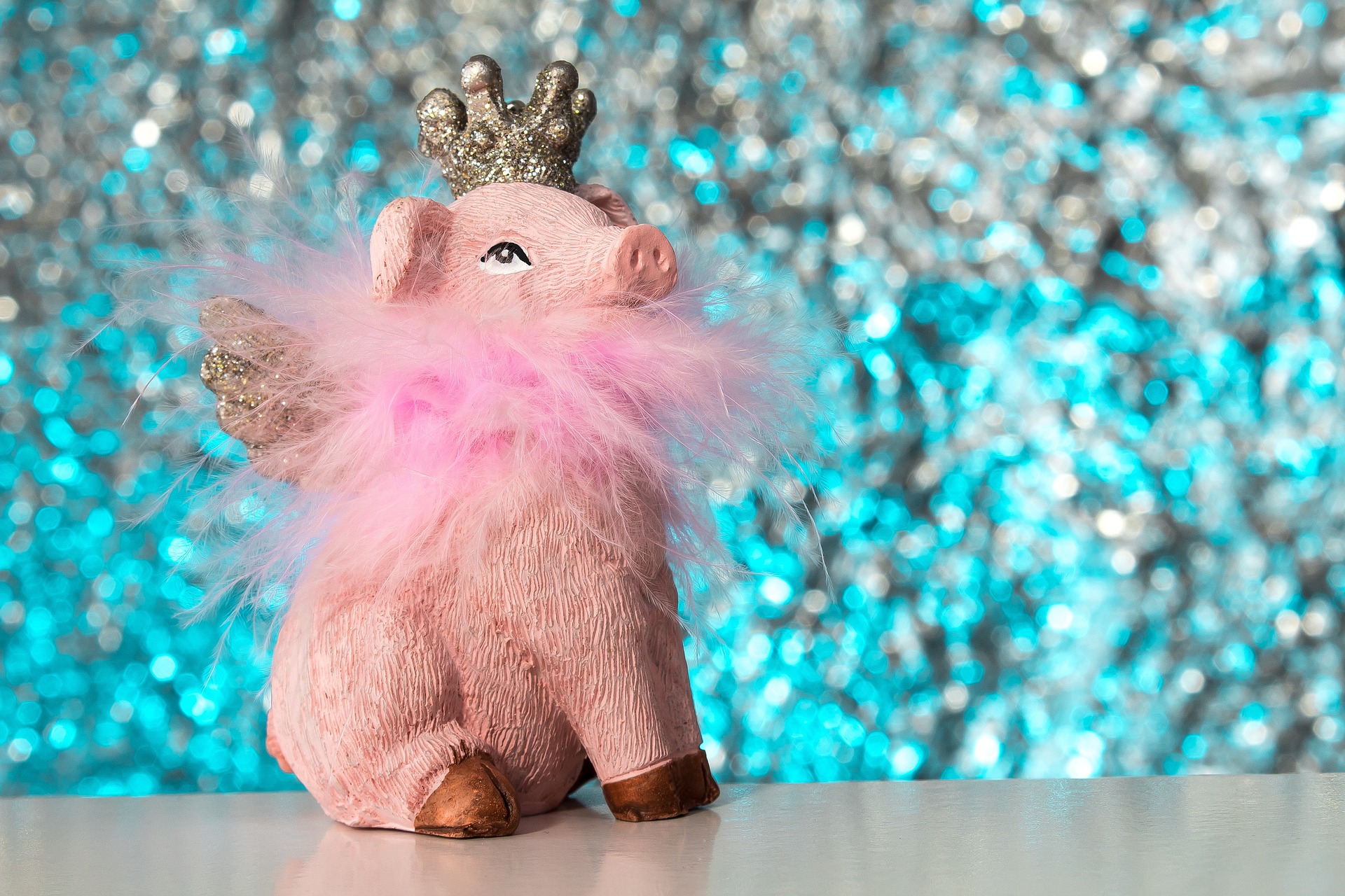 Can Pigs Fly? - ReChargeMe Zone